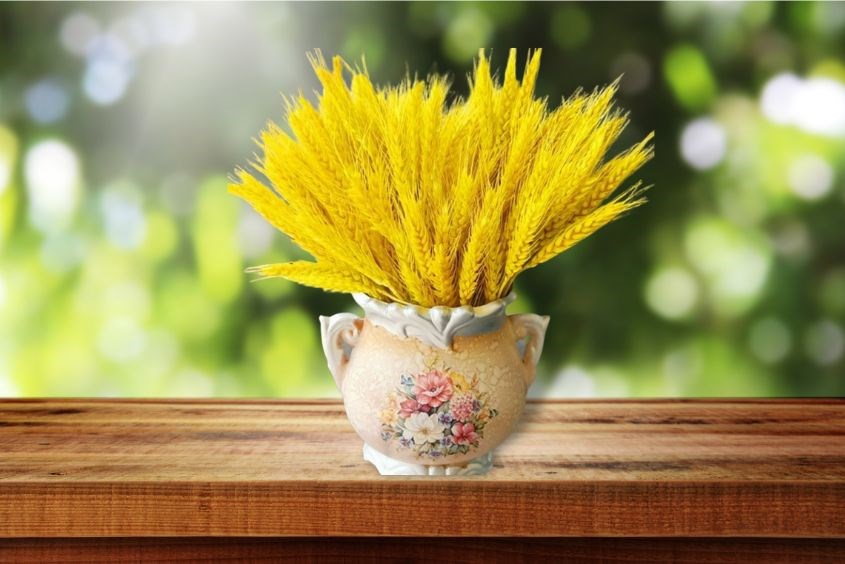 Video hướng dẫn Cách cắm hoa lúa mạch đẹp từ A đến Z