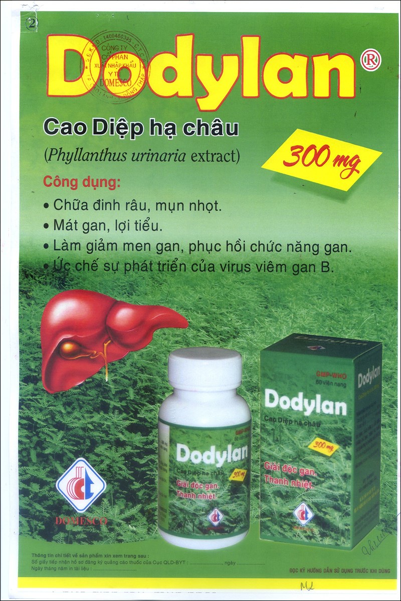 Thương hiệu Domesco của nước nào? Có tốt không? Các dòng sản phẩm nổi