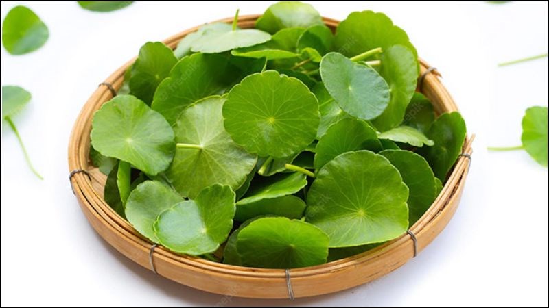 Tác Dụng Của Rau Má Trong Chăm Sóc Da Nhạy Cảm? - DABO - Mỹ phẩm thiên ...