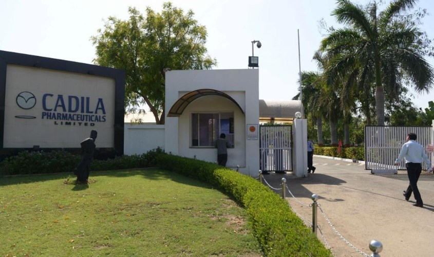 Thương hiệu Cadila Pharmaceuticals của nước nào? Có tốt không? Các dò