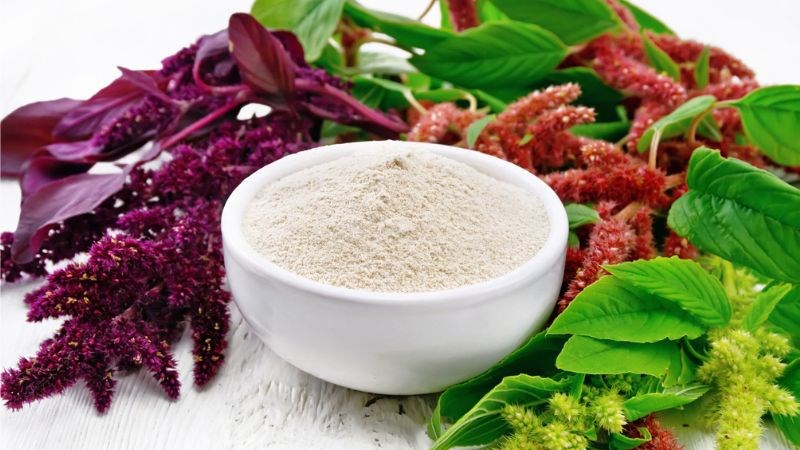 Rau dền bao nhiêu calo? Rau dền có tác dụng gì?