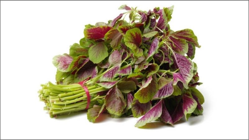 Rau dền bao nhiêu calo? Rau dền có tác dụng gì? | The Sam House | Cộng ...