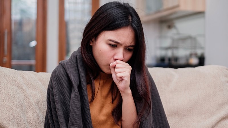 Quả cóc có tác dụng gì? 17 lợi ích sức khỏe của quả cóc