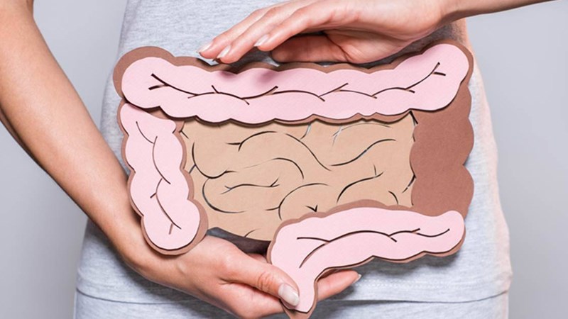 Quả su su có tác dụng gì? 12 tác dụng của quả su su với sức khỏe