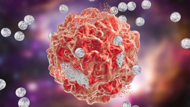 Quả su su có tác dụng gì? 12 tác dụng của quả su su với sức khỏe