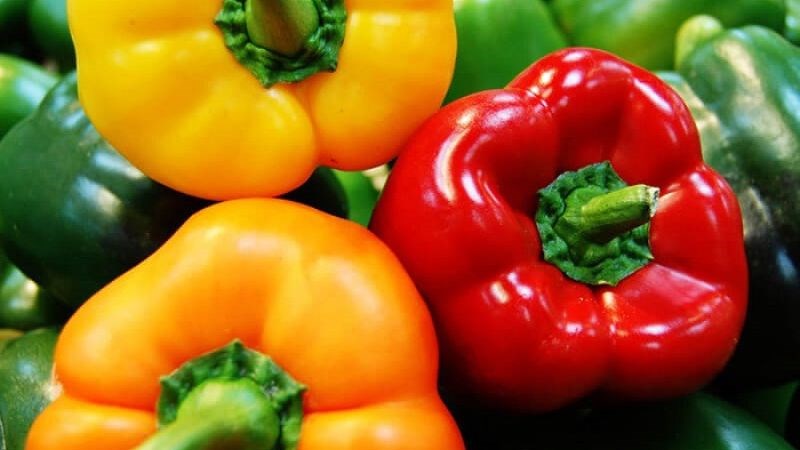 Ăn ớt chuông có tác dụng gì? 12 tác dụng đối với sức khỏe