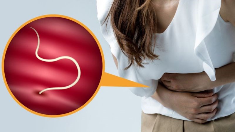 Rau đắng đất có tác dụng gì? 11 bài thuốc chữa bệnh từ rau đắng đất