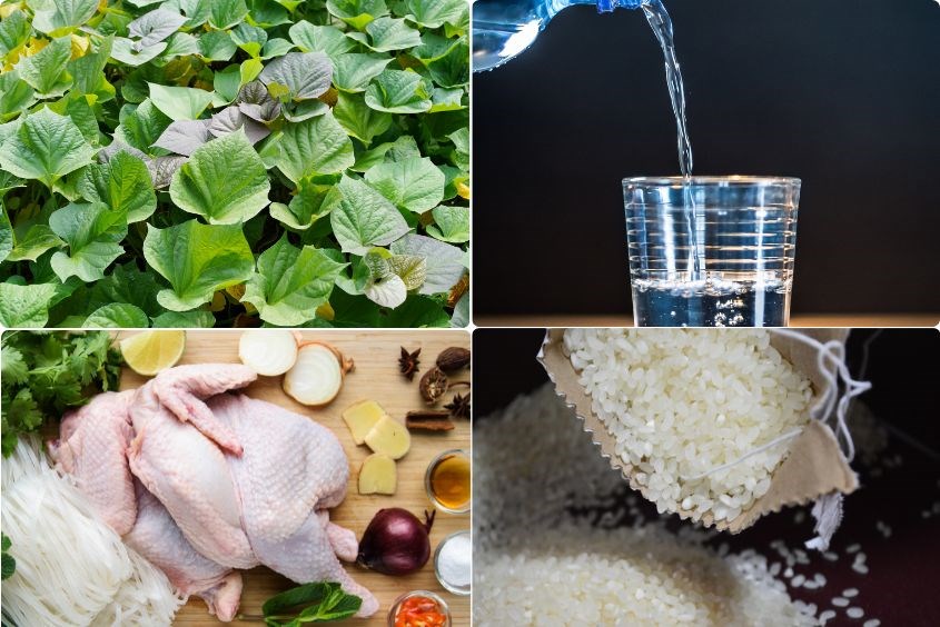 Top 4+ cách nấu cháo rau lang cho bé mẹ cần biết
