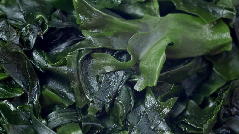 Rong biển bao nhiêu calo? Ăn rong biển có béo không? Cách ăn giảm cân