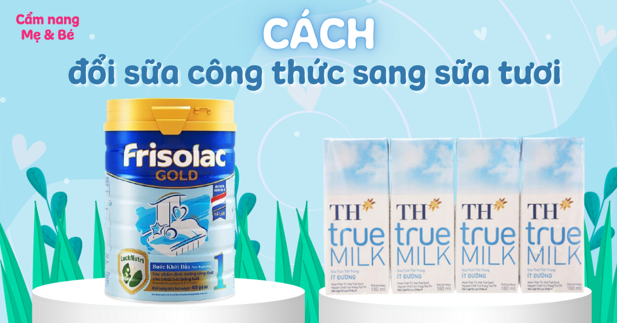 Cách đổi sữa công thức sang sữa tươi cho bé và lưu ý quan trọng