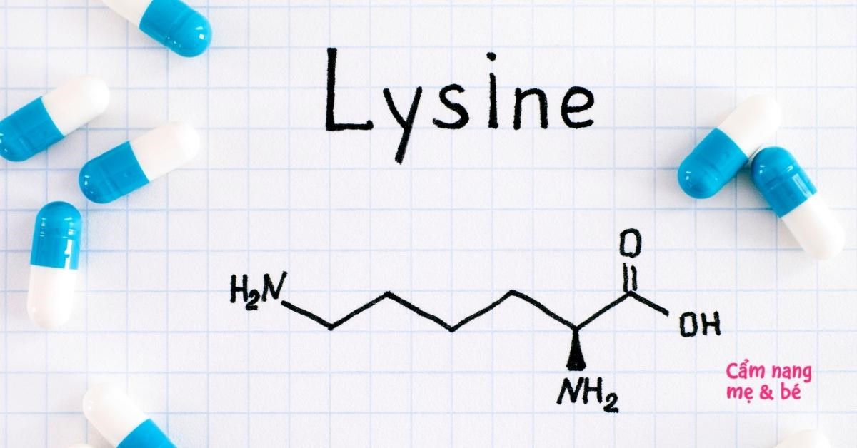 Lysine là gì? Tác dụng và cách bổ sung lysine cho cơ thể