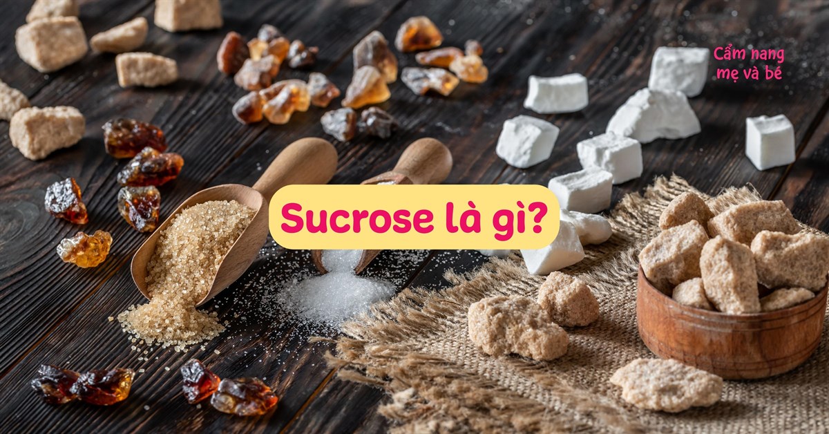 Sucrose (Saccharose) là gì? Vai trò của Sucrose đối với sức khỏe