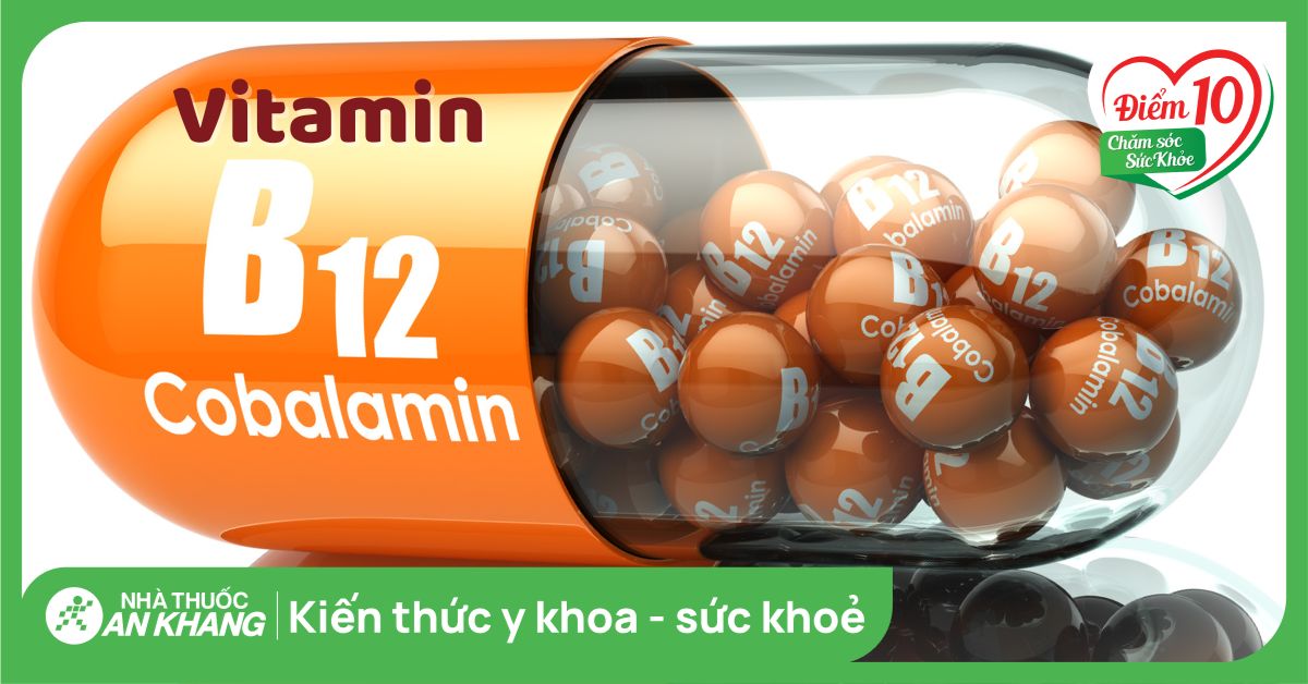 Vitamin B12 là gì? Vai trò đối với cơ thể và các nguồn bổ sung