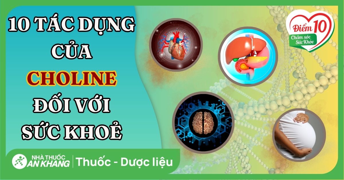 Choline là gì? 10 tác dụng của choline đối với cơ thể
