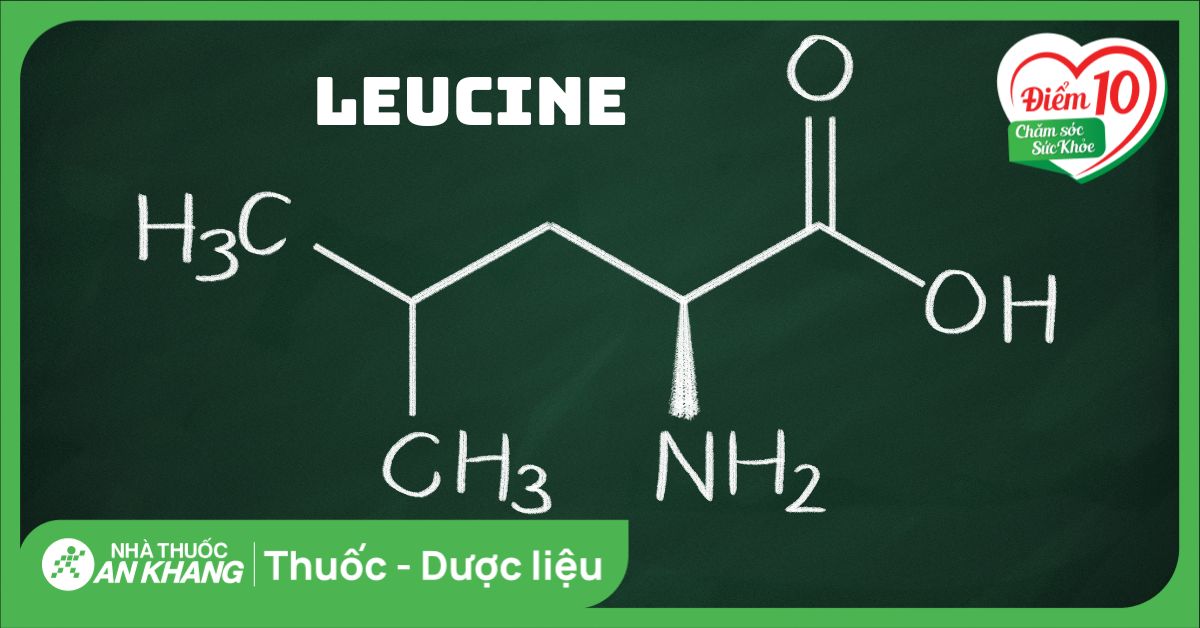 Leucine là gì? 8 tác dụng của Leucine đối với cơ thể bạn cần biết