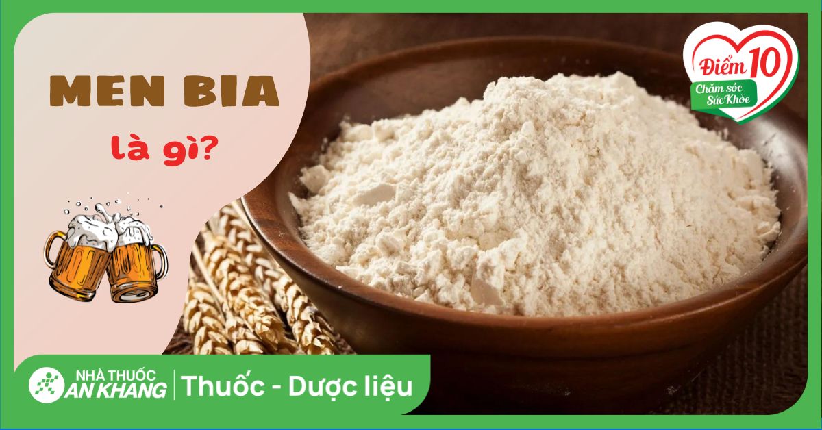 Men bia là gì? 5 tác dụng của men bia đối với sức khỏe