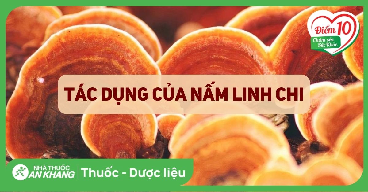 8 cách sử dụng nấm linh chi đơn giản, tốt cho sức khoẻ, cơ thể
