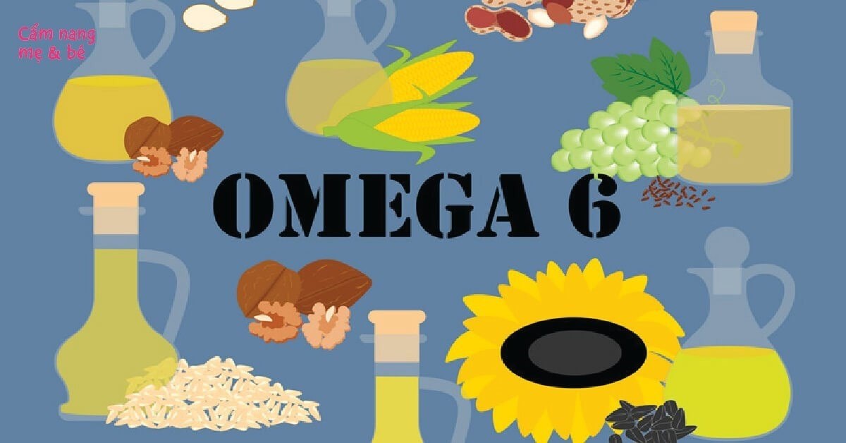 Tất tần tật omega-6 là gì và tác dụng của nó