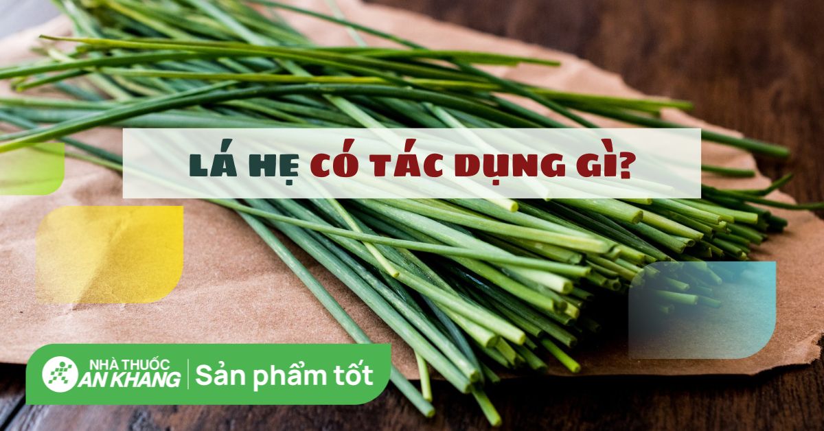 Lá hẹ có tác dụng gì? 10 tác dụng của lá hẹ không thể bỏ qua! Xem ngay