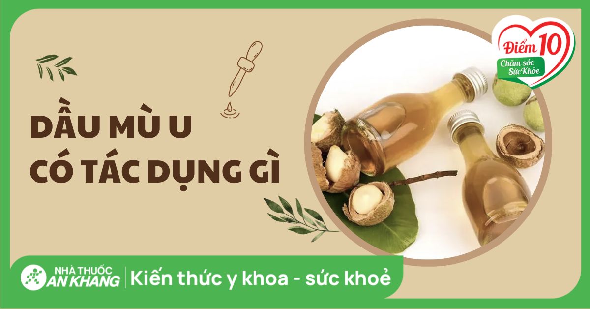 Dầu mù u có tác dụng gì? Mách bạn 10 tác dụng của dầu mù u