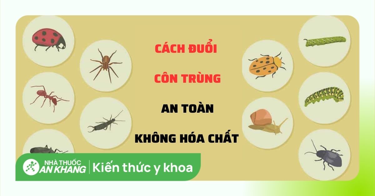 9 cách đuổi côn trùng một cách tự nhiên, an toàn, không hoá chất