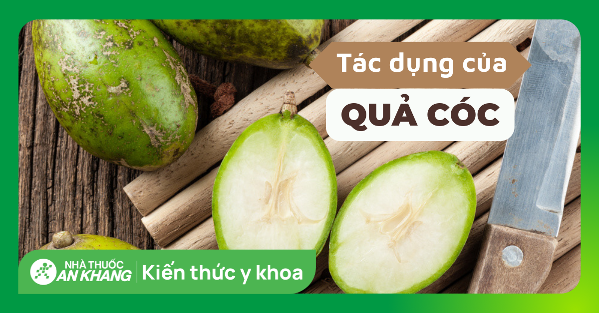 Quả cóc có tác dụng gì? 17 lợi ích sức khỏe của quả cóc