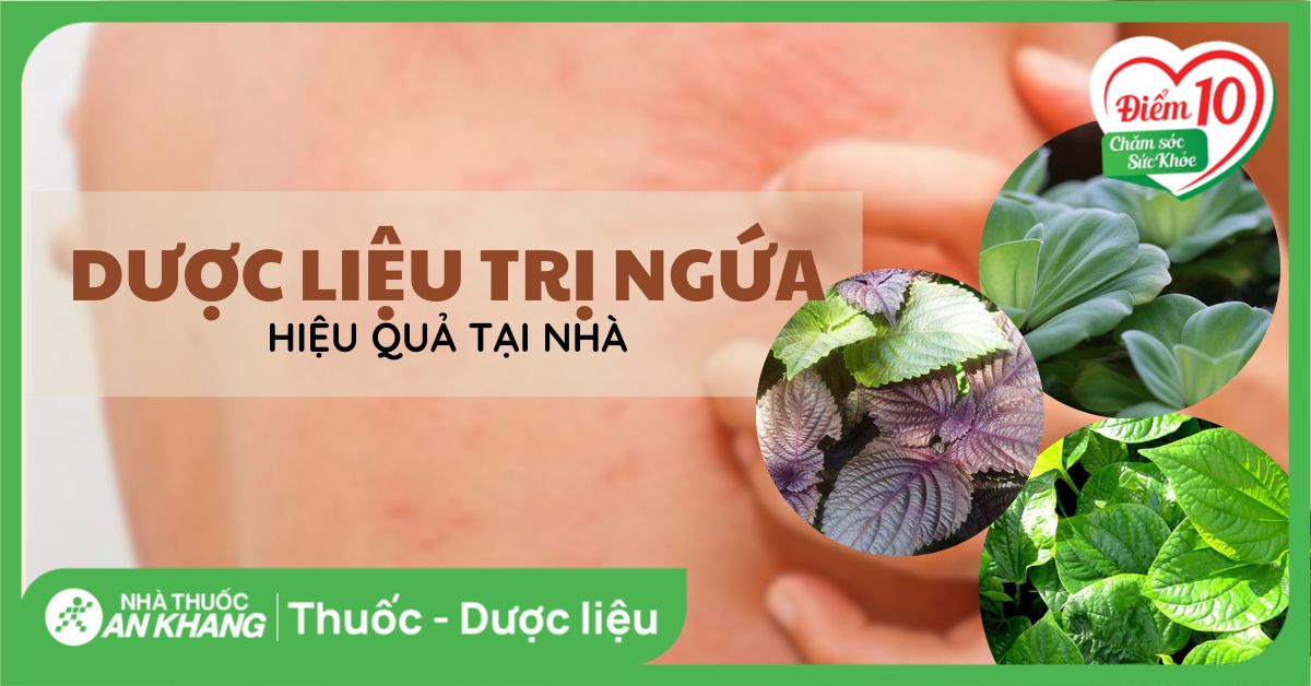 15 cây thuốc nam và bài thuốc trị ngứa ngoài da hiệu quả tại nhà