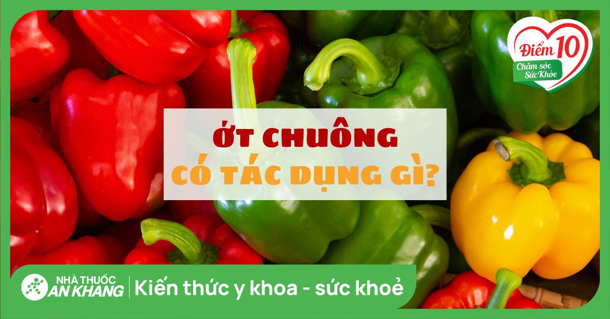 Ăn ớt chuông có tác dụng gì? 12 tác dụng của ớt chuông và lưu ý