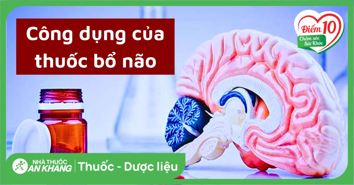 10 công dụng của thuốc bổ não bạn nên biết