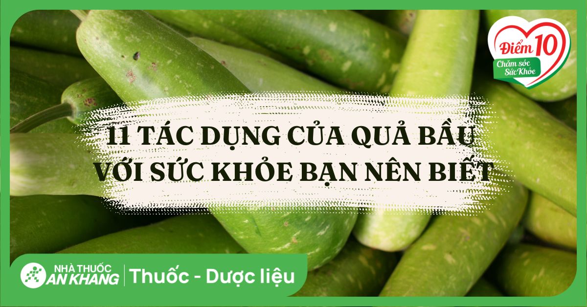 11 tác dụng của quả bầu với sức khỏe bạn nên biết