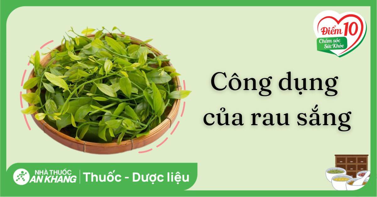 Rau sắng là gì? 9 tác dụng của rau sắng với sức khỏe bạn nên biết