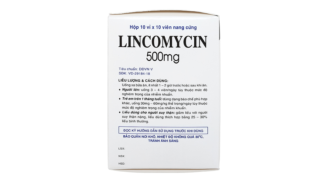 Lincomycin Vidipha 500mg trị nhiễm khuẩn nặng (10 vỉ x 10 viên) - 08/ ...