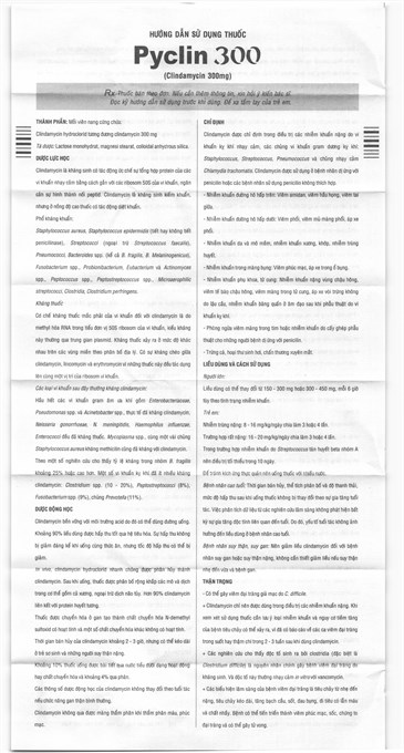 Thuốc kháng sinh Pyclin 300mg hộp 100 viên-Nhà thuốc An Khang