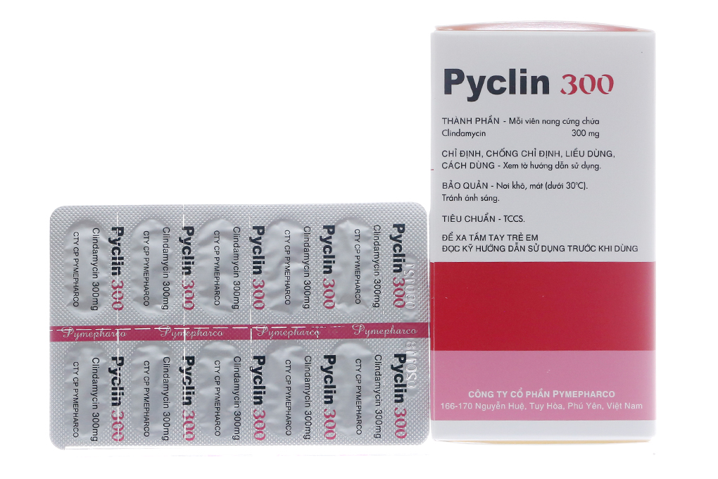 Pyclin 300 trị nhiễm khuẩn nặng (10 vỉ x 10 viên) - 08/2024 ...