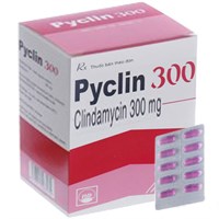Thuốc kháng sinh Pyclin 300mg hộp 100 viên-Nhà thuốc An Khang