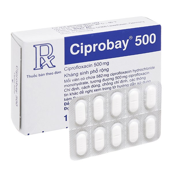 Ciprobay 500 trị nhiễm khuẩn (1 vỉ x 10 viên) - 09/2024 ...