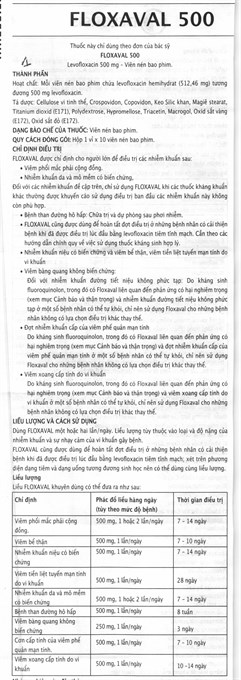 Floxaval 500mg trị nhiễm khuẩn (1 vỉ x 10 viên) 04/2023 ...
