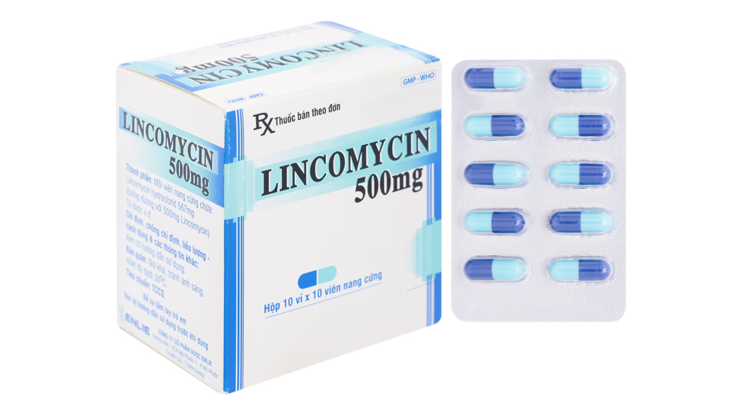 Lincomycin Enlie 500mg trị nhiễm khuẩn (10 vỉ x 10 viên) - 08/2024 ...