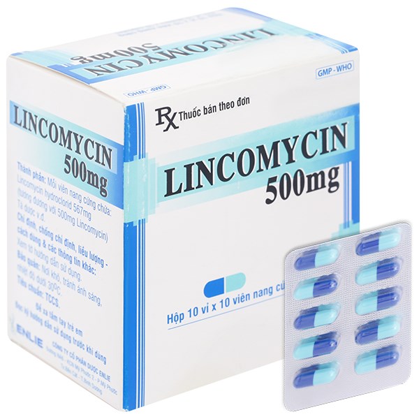 Lincomycin Enlie 500mg trị nhiễm khuẩn (10 vỉ x 10 viên) - 09/2024 ...