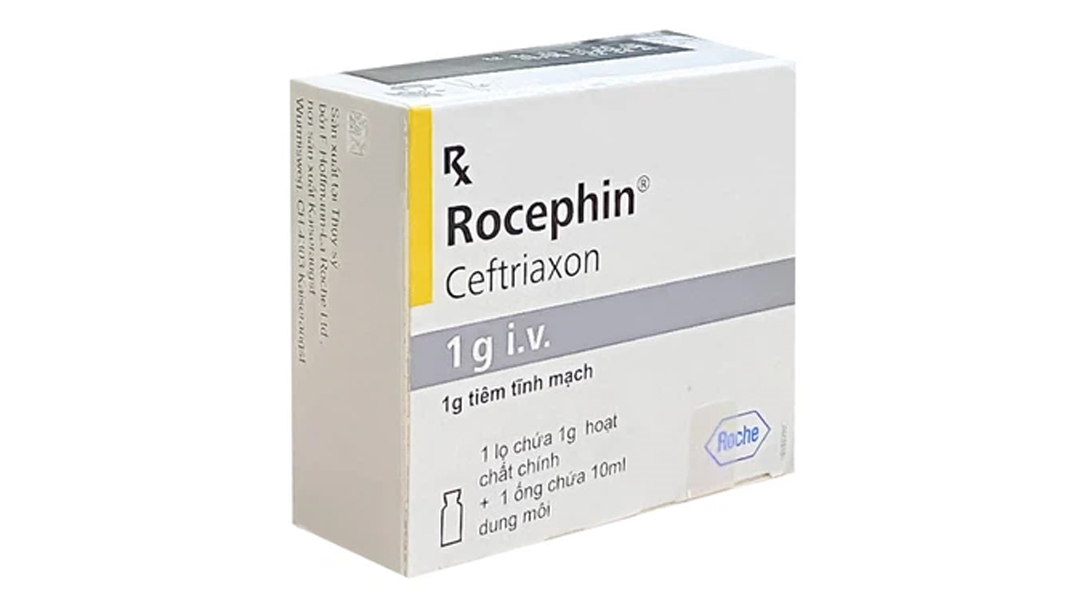 Bột pha tiêm Rocephin Ceftriaxon trị nhiễm khuẩn huyết (1 lọ + 1 ống ...