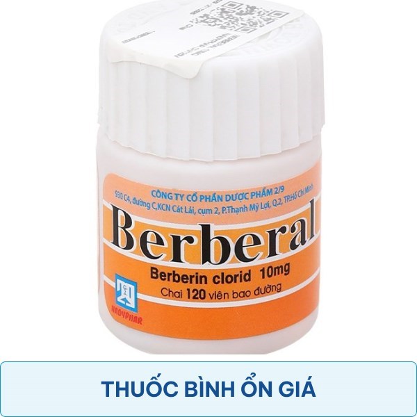 Thuốc Berberine 100mg trị tiêu chảy lọ 100 viên - 06/2025 ...