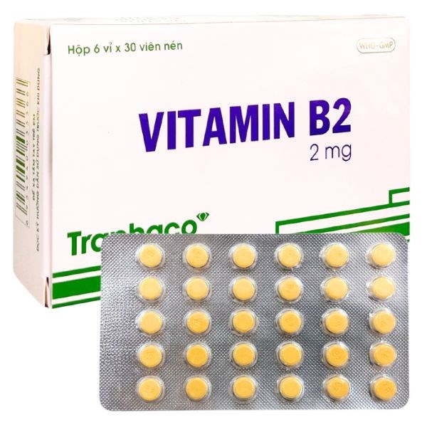 Vitamin B2 Traphaco 2mg dự phòng và điều trị thiếu vitamin B2 (6 vỉ x ...
