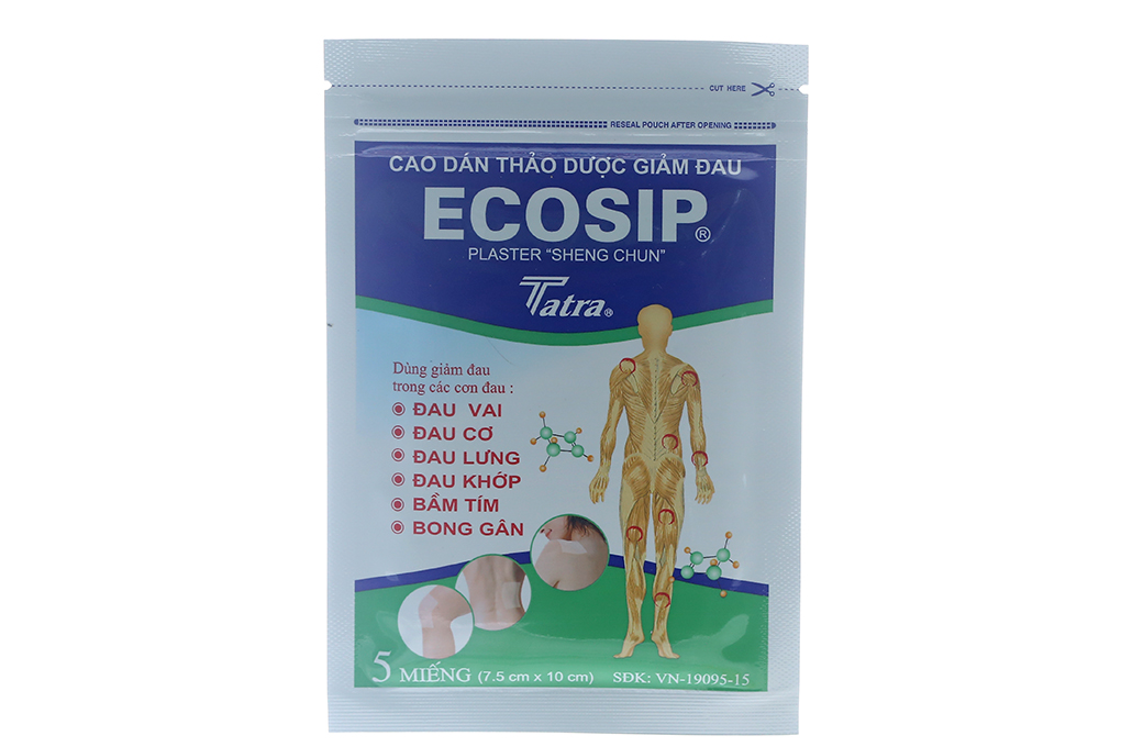 Cao dán Ecosip Cool giảm đau cơ xương khớp gói 5 miếng - 08/2024 ...