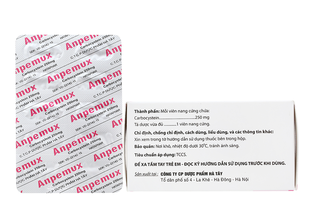 Anpemux 250mg trị rối loạn tiết dịch hô hấp (6 vỉ x 10 viên) - 08/2024 ...