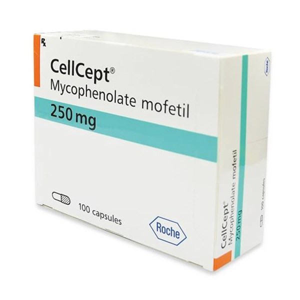 Cellcept 250mg dự phòng thải ghép cấp tính, điều trị thải ghép lần đầu ...