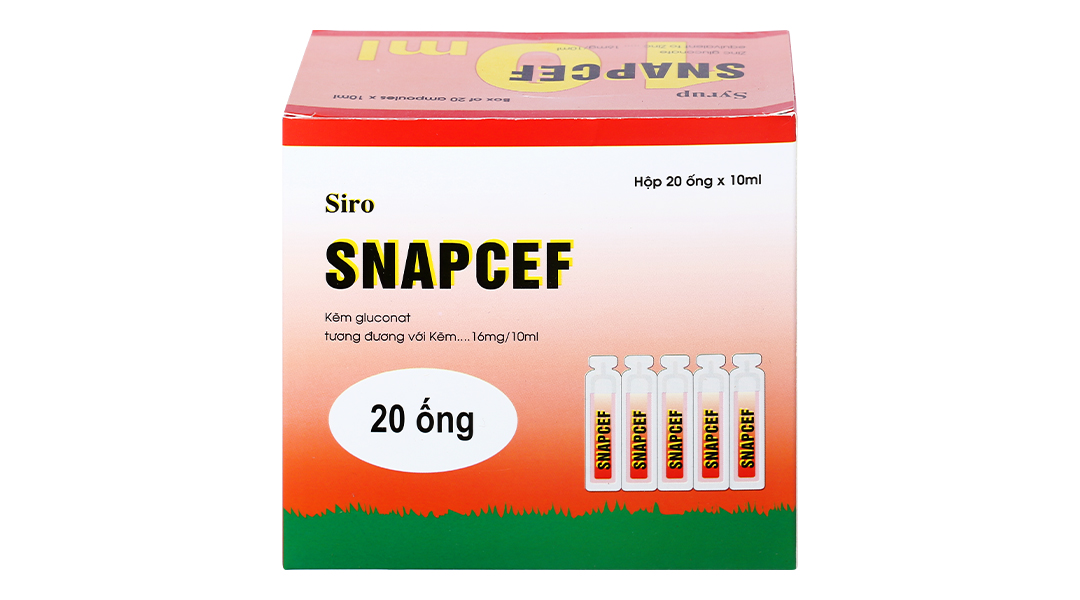 Thuốc Syrup Snapcef 10ml hộp 20 ống-Nhà thuốc An Khang