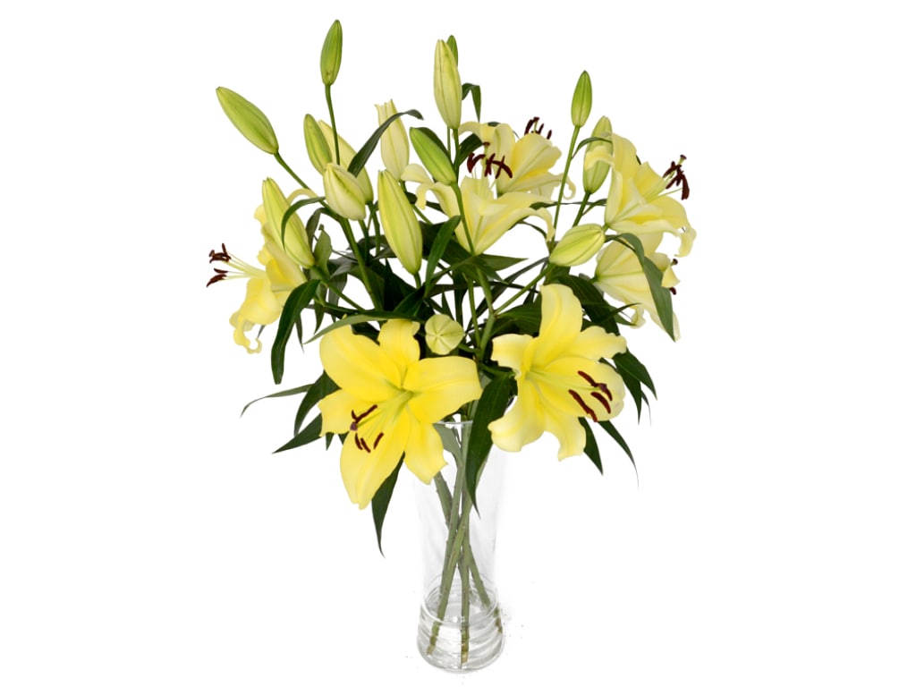 Hoa lily Đà Lạt tại Bách Hoá XANH