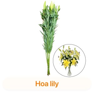 Hoa lily Đà Lạt tại Bách Hoá XANH