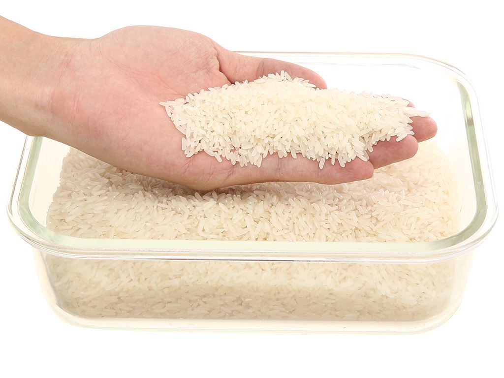 Mua Gạo Louis Rice Silver túi 5kg giá tốt tại Bách hoá XANH