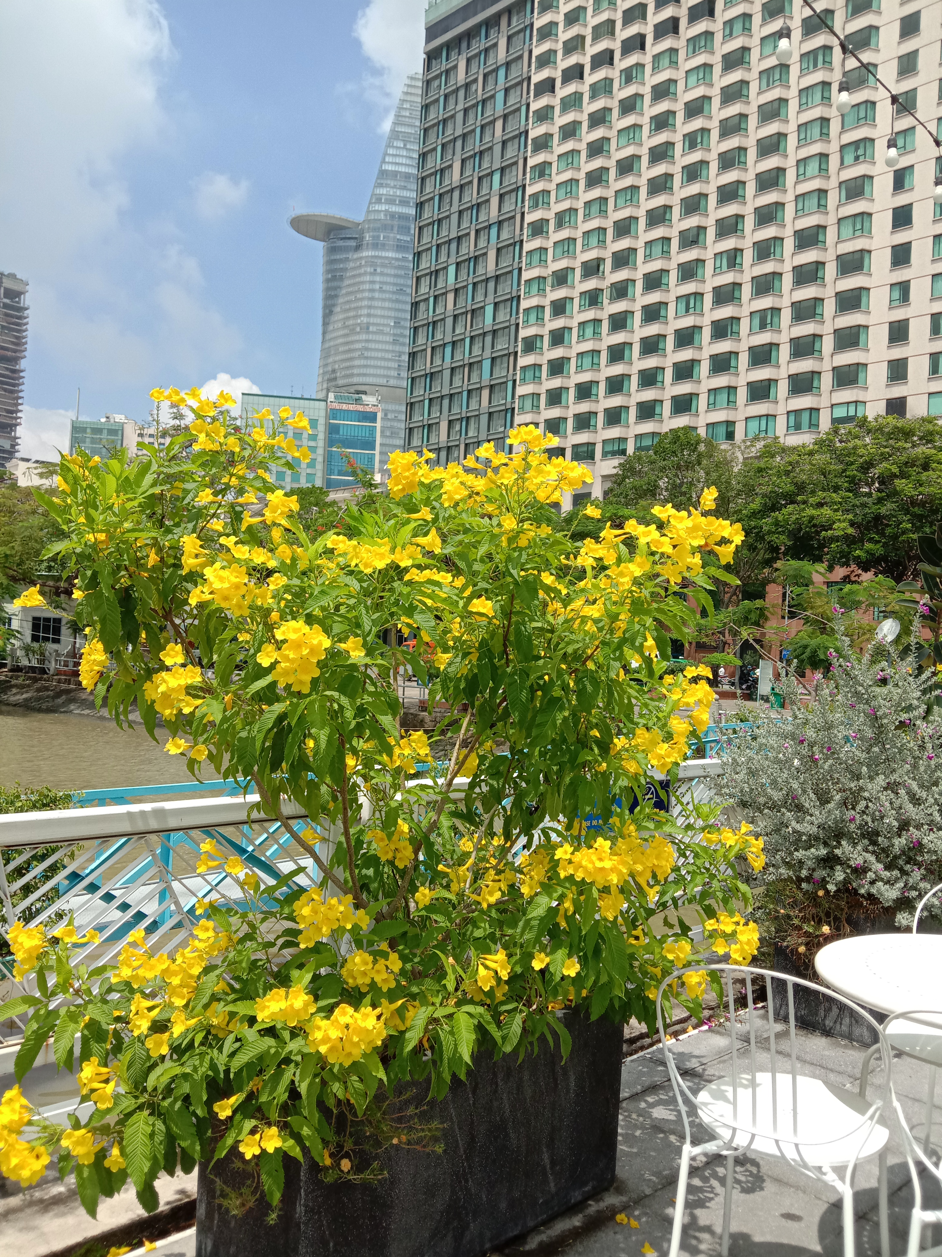 So sánh chi tiết Điện thoại Vivo Y12 với OPPO A12 (4GB/64GB ...